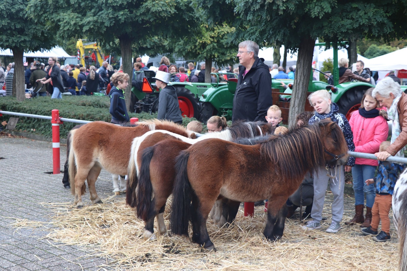 Oude tijden herleven tijdens de jaarlijkse Ossenmarkt - Puttensezaken.nl