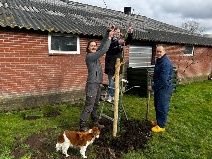 Deelnemers 'Putten in het Groen' ontvangen hun beplanting ...